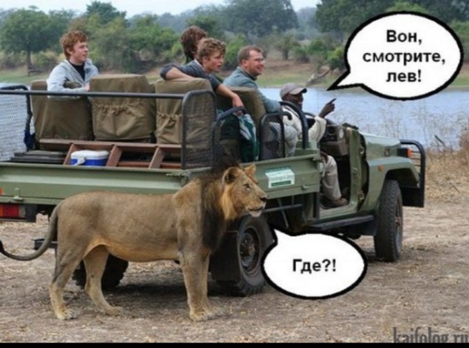 Лента по интересам - Статусы и цитаты - 1475772 - Tabor.ru