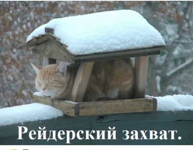 Лента по интересам - Юмор - 1479538 - Tabor.ru