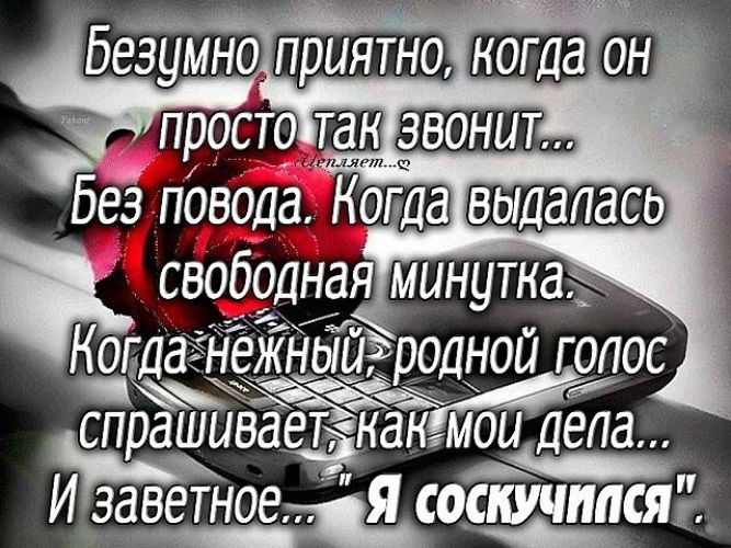 Лента по интересам - Статусы и цитаты - 2500389 - Tabor.ru