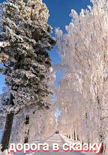 Лента по интересам - Природа - 2647095 - Tabor.ru